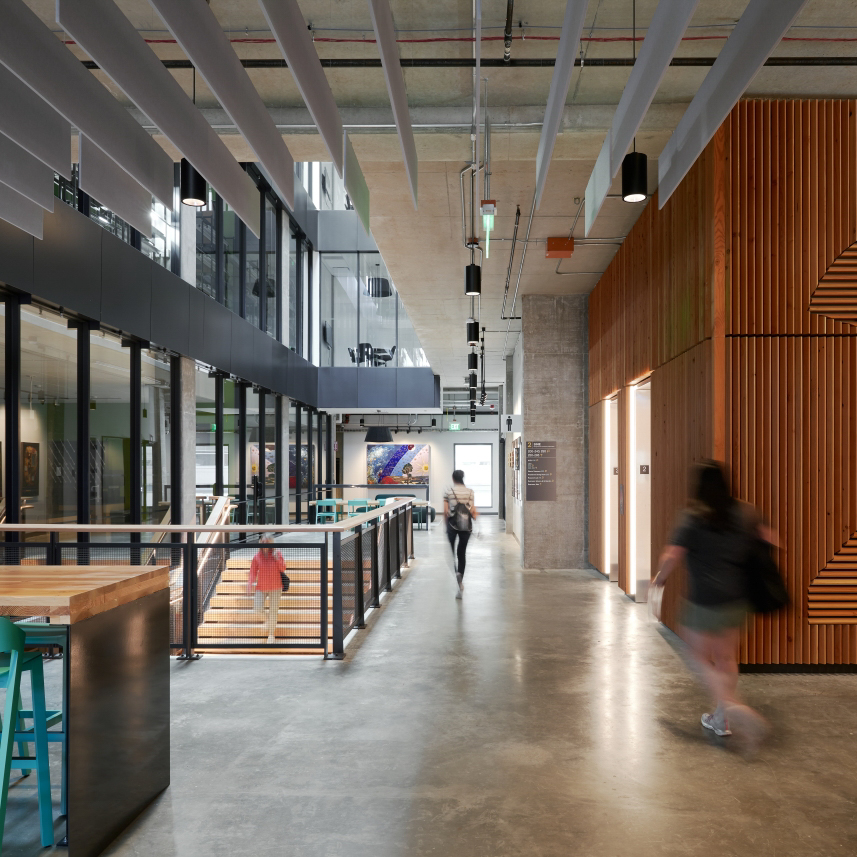 Mantis Lighting: Illuminating Spaces with Innovative Designs and ...